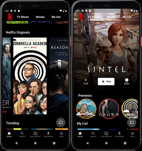 GitHub HusseinElbhrawy Flutter Netflix Clone Responsive UI