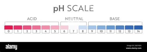 Graphique de l échelle de pH Infographie sur l équilibre acido basique