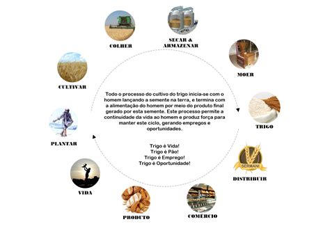 Trigo No Brasil Sermani