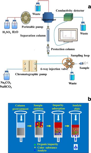 Ion Chromatography Diagram