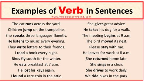 120 Examples Of Verbs In Sentences In English Vocabulary Point