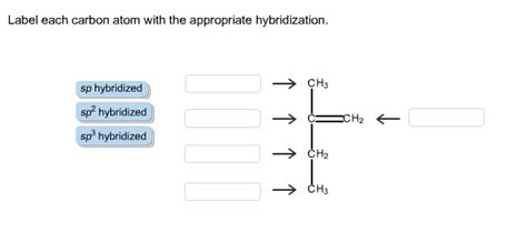 Solved Label Each Carbon Atom With The Appropriate Chegg