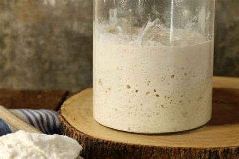 How To Make Sourdough Starter From Scratch Earth Food And Fire