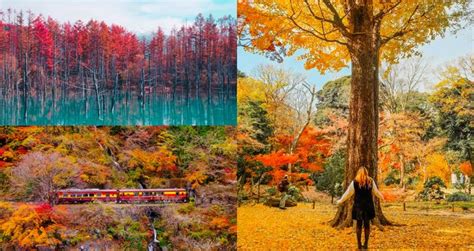 20 Best Places To See Autumn Leaves In Japan 2023 Japans Official