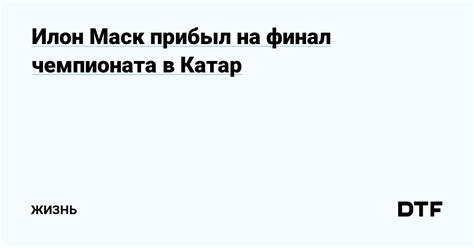 Илон Маск прибыл на финал чемпионата в Катар Жизнь на DTF
