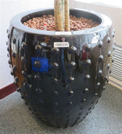 Plante Naturelle Dans Son Pot En Terre Cuite Emaille Noire A Picots