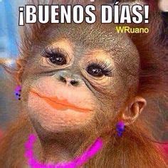 Memes divertidos para desear Buenos Días a tu grupo de amigos de