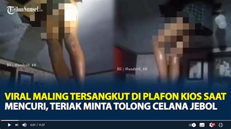 Viral Maling Tersangkut Di Plafon Kios Saat Mencuri Teriak Minta