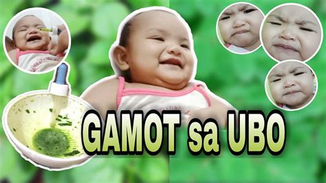 Oregano At Malunggay Gamot Sa Ubo Ni Baby Mabisang Gamot Sa Ubo YouTube