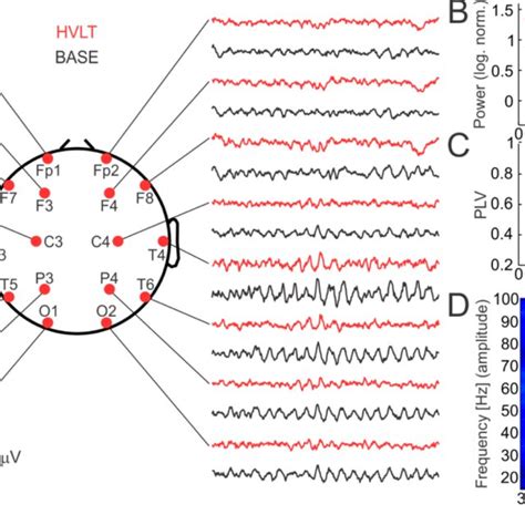 pdf cognitive behavior classification from scalp eeg signals