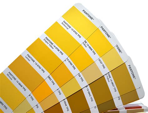 Pantone Tpg Tpx Fhip N