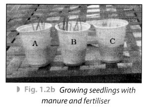 Ncert Solutions For Class Science Chapter Crop Production And
