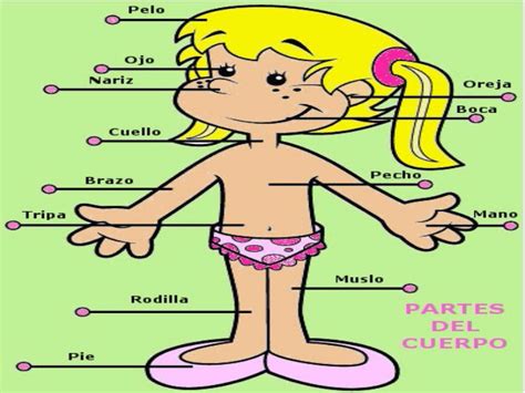 Rompecabezas Del Cuerpo Humano Para Niños De 6 Piezas Actividad del Niño