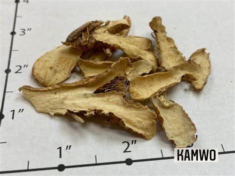 HERBS 1 Kamwo Herb References Bark Flashcards Quizlet