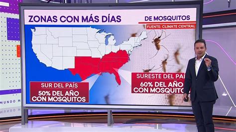 Watch Noticias Telemundo Mediodía Highlight Estas son las localidades