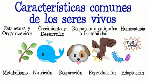 Cuáles son las Características de los Seres Vivos