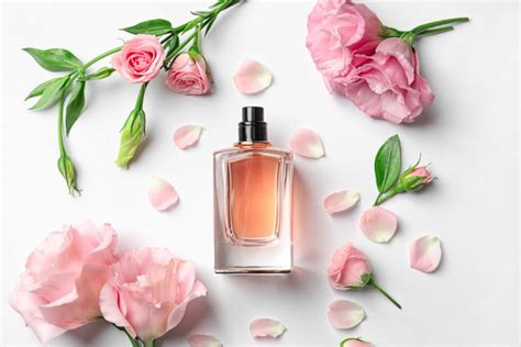 Fotografia de Produto o que é Tipos e Como Tirar Fotos dos Produtos