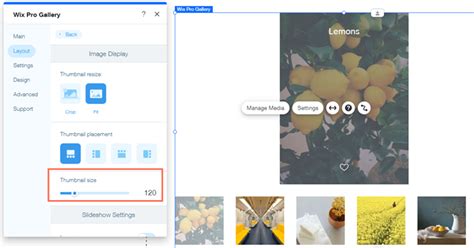 Wix Pro Gallery Customizing Your Gallery S Thumbnails Help Center