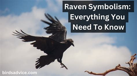 Raven Symbolism Cultural And Spiritual Meanings Off