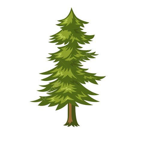 Pine Tree Vector Illustration Pine Tree Forest Tree Evegreen Png And