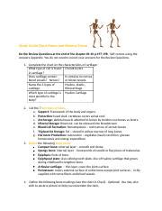 Comprehensive Study Guide On Bones And Skeletal Tissue Course Hero