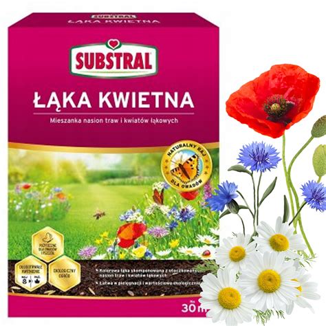 Substral Mieszanka nasion traw i kwiatów polnych ŁĄKA KWIETNA 300g