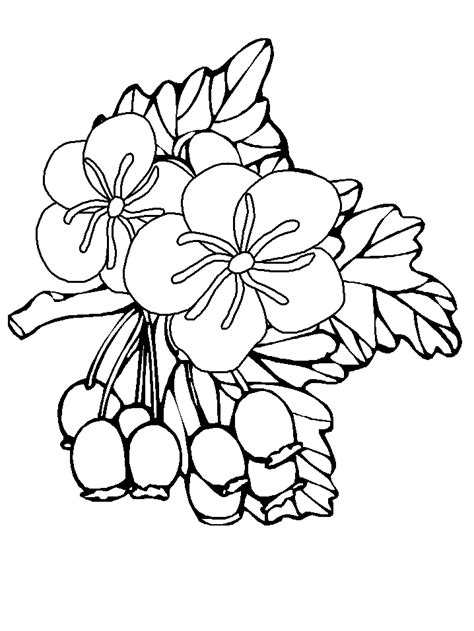 Fiori 16 Disegni Per Bambini Da Colorare