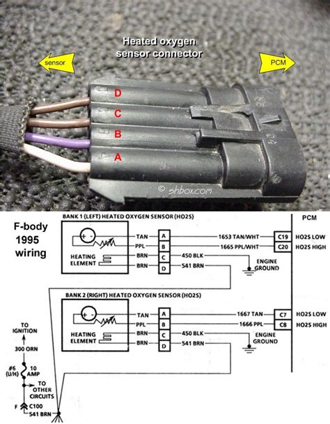 O2 Sensor Wiring Diagram On A Vehicle O2 Tacoma Wiring Senso