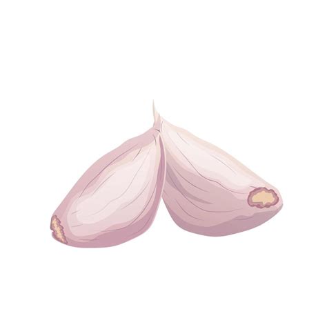 Ilustración de vector de dibujos animados de dientes de ajo sin pelar