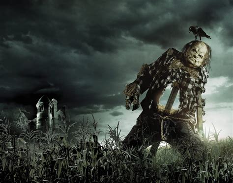 Historias De Miedo Para Contar En La Oscuridad El Nacimiento