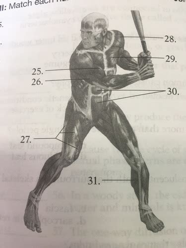 Abeka Biology Test Chapters Flashcards Quizlet
