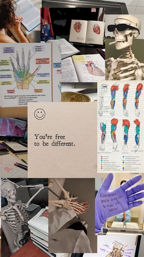 Pin By On Fisio In 2024 Physical Therapy Student Physical