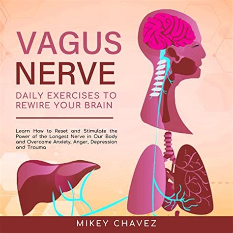 Vagus Nerve Exercises To Rewire Your Brain Learn How To Reset And