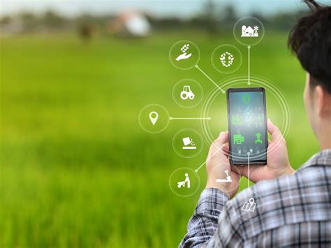 Curso Técnico em Agronegócios EAD em Peri Mirim MA EAD iCursos