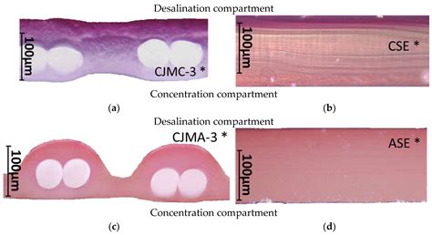 Membranes Free Full Text Comparison Of The Electrodialysis