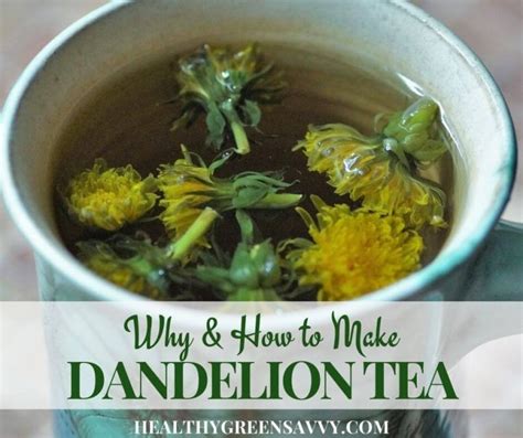 How To Make Dandelion Tea 3 Tasty Ways Benefits Recipes