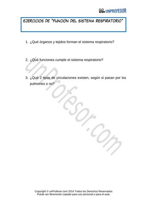 PDF ejercicios de función del sistema respiratorio Qué órganos y