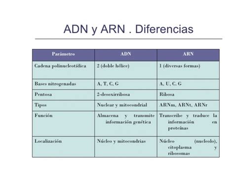 Diferencias Entre ADN Y ARN Cuadro Comparativo