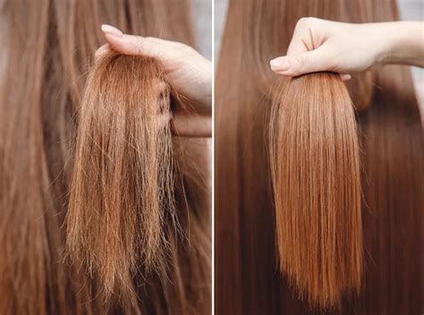 10 Remedios Para El Cabello Seco Encrespado Essential Oils For Hair