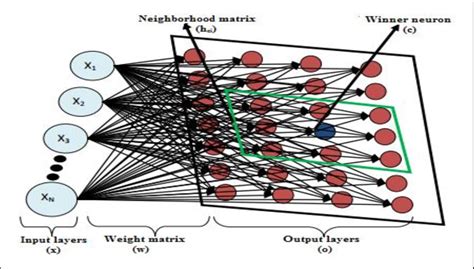 structure of kohonen self organizing map download scientific diagram