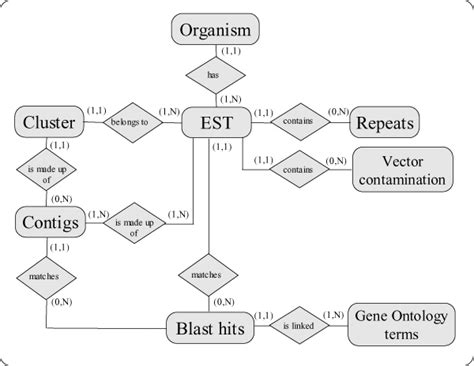 Do Uml Diagram Class Srs Activity Use Case Flowchart