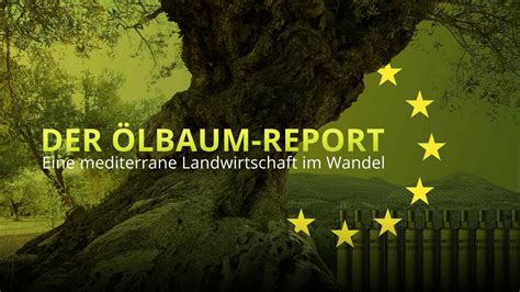 DER ÖLBAUM REPORT EINE MEDITERRANE LANDWIRTSCHAFT IM WANDEL Film