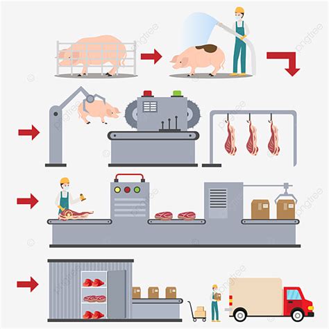 Diagrama De Carne De Cerdo
