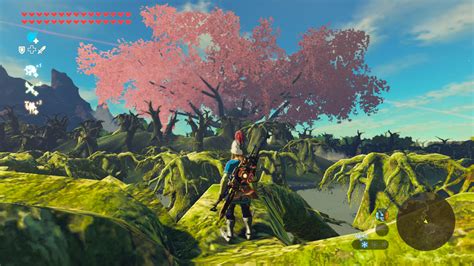 No Fog In Korok Forest The Legend Of Zelda Breath Of The Wild WiiU