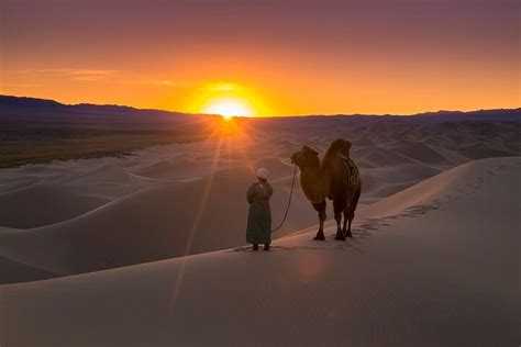 NOMADE MONGOLIA TRAVEL TOUR Ulaanbaatar All You Need To Know
