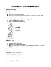 Unit Gene Expression And Regulation Pdf Unit Gene Expression