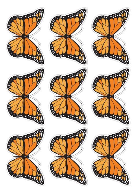 Six Orange Butterflies With Black And White Markings On The Wings All
