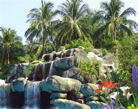 Waterfall In Paradise Waterfall Paradise Natur Flowers HD Wallpaper