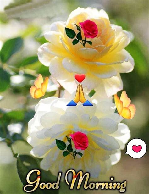 Good Morning Wallpapers With Es Infoupdate Org