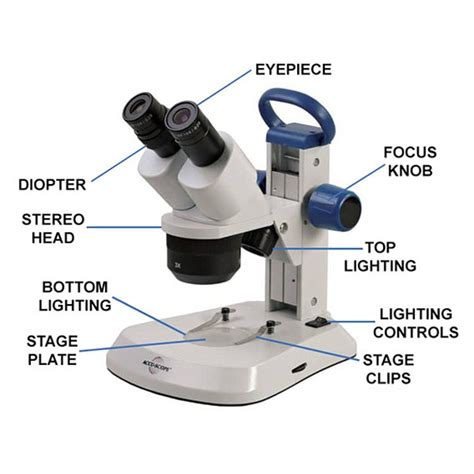 Stereo Microscope Parts Diagram Microscope Stereo Dissecting